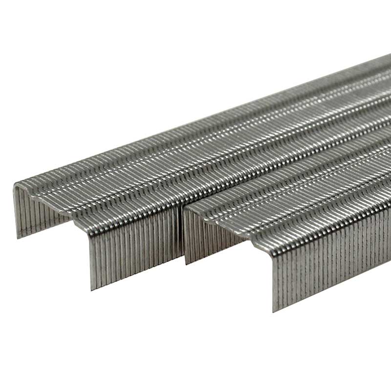 Ace Undulated Chisel Point Clipper Staples - 70001 - For Sale